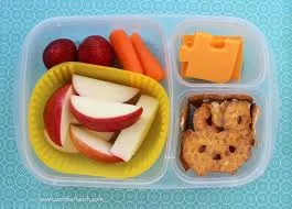 Lunch Box Assembly | Science & Math Investigative Learning Experiences ...