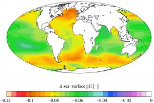 Ocean Acidification | Science & Math Investigative Learning Experiences ...
